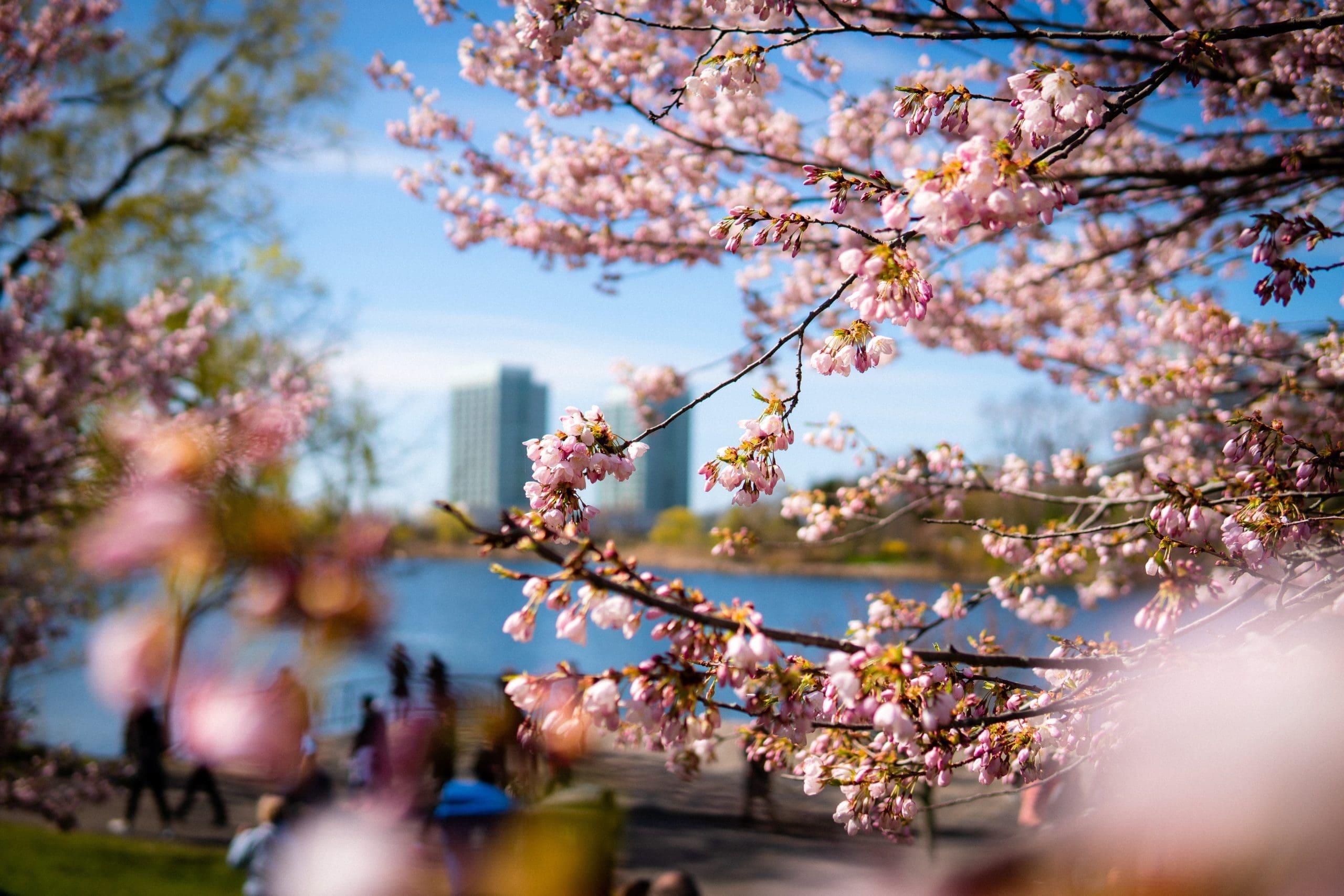 6 More Reasons Why We Love High Park | Nested Real Estate
