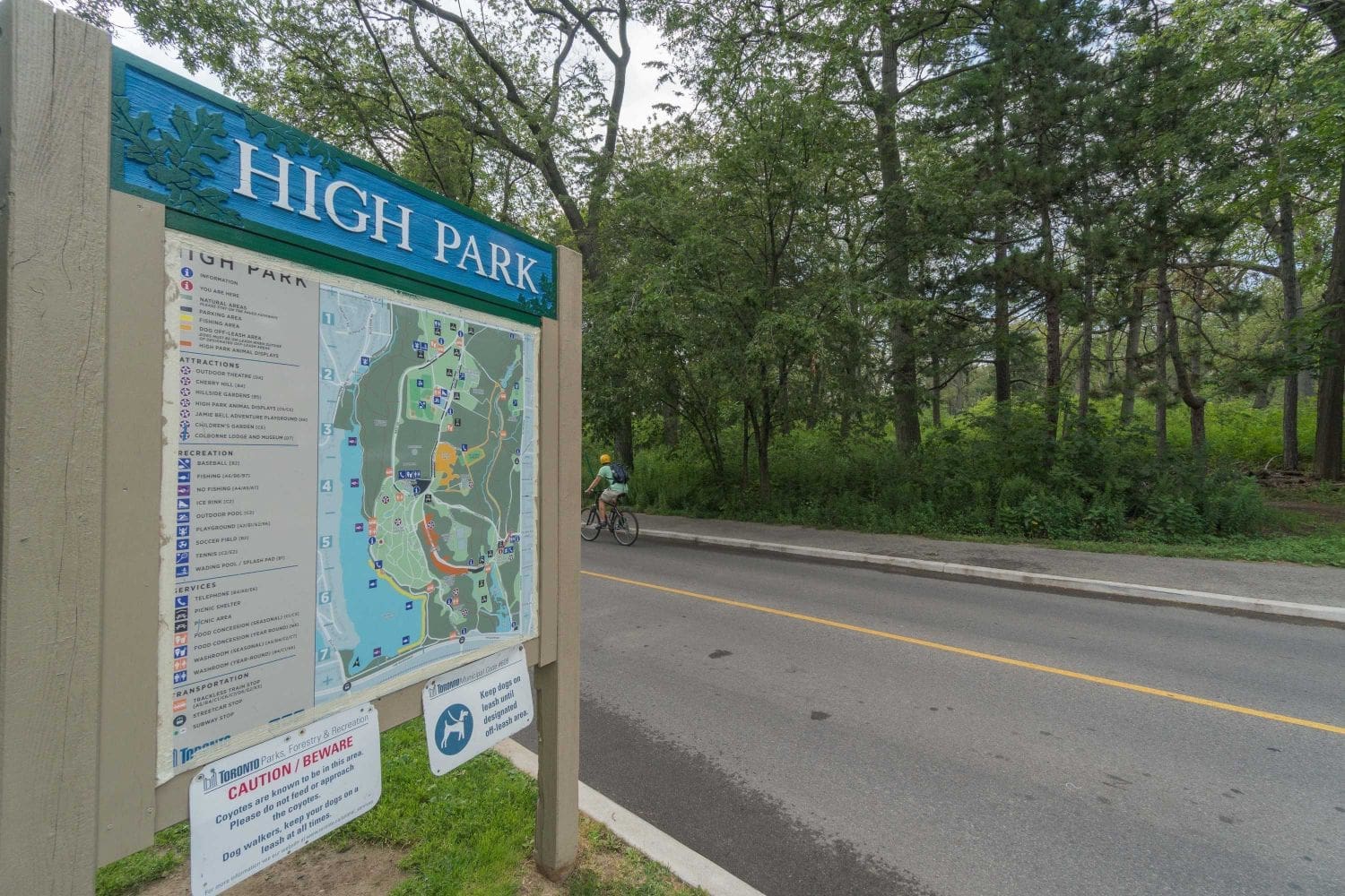 High Park, Toronto Real Estate | Local High Park Real Estate Agent